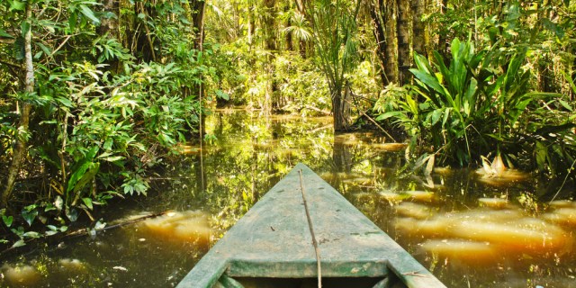 Tefé, uma cidade no coração da Amazônia