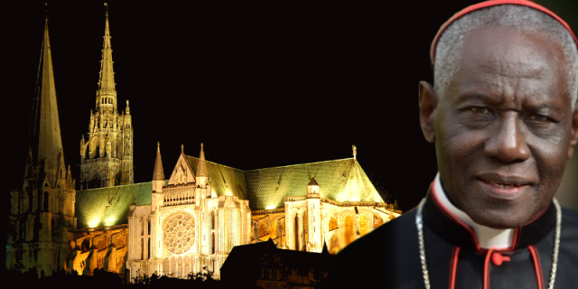 Histórica e luminosa homilia do Cardeal Sarah repercute nas redes sociais