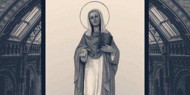 Bem-aventurada Maria Marcelina da Imaculada Conceição