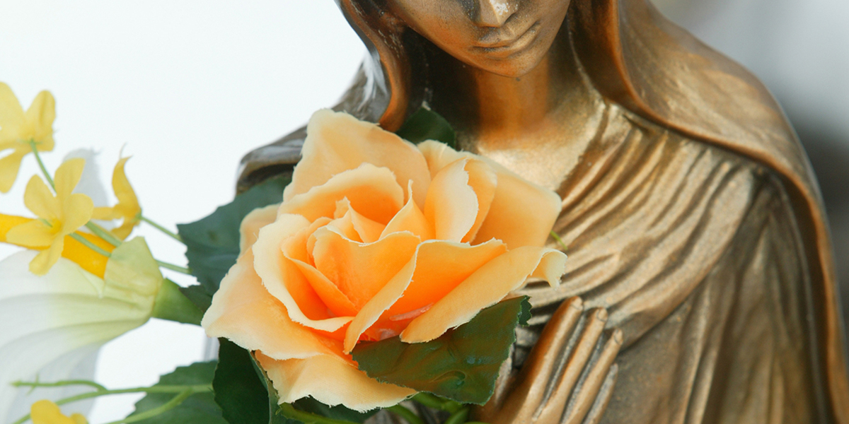 A surpreendente história católica dos nomes das flores