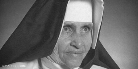 Os momentos finais da vida de Irmã Dulce, segundo seu orientador espiritual