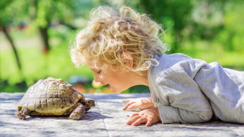 Sabia que a lentidão é uma qualidade sofisticada do nosso cérebro?
