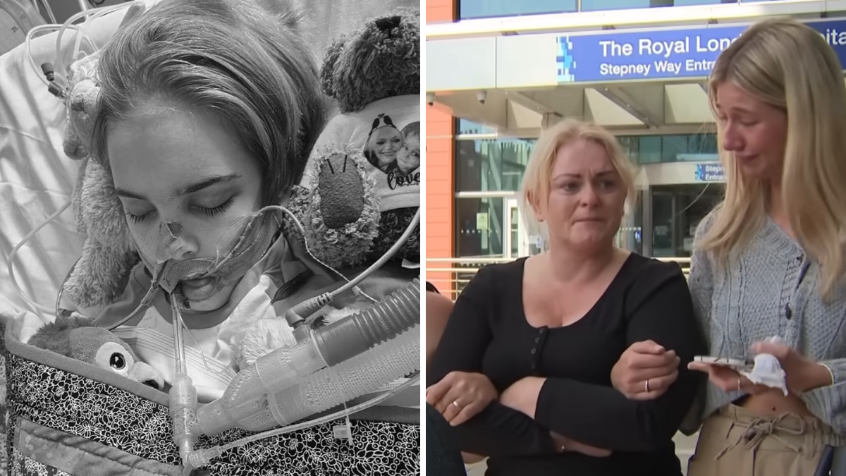 Qual é a diferença entre eutanásia, distanásia e ortotanásia?