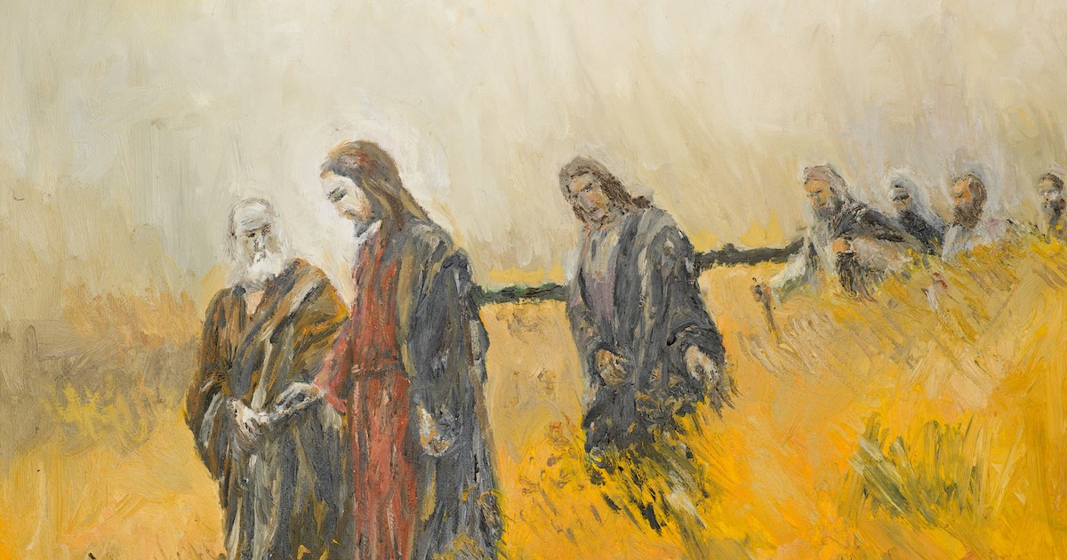 “Todo ramo que não dá fruto será cortado”: o que isso quer dizer?