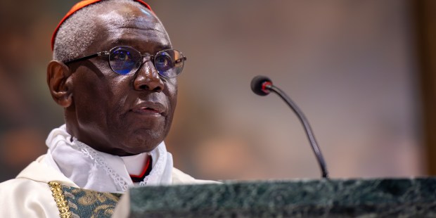 Cardeal Sarah: "Está na hora de a Igreja voltar ao que se espera dela ...